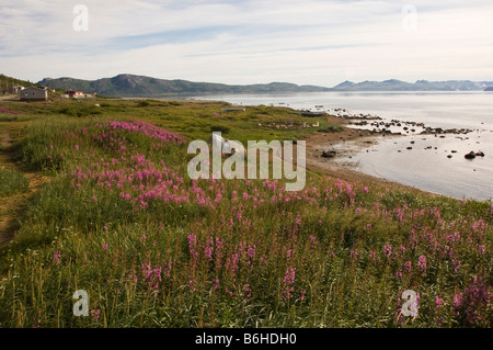 Nain village Labrador, Canada Stock Photo - Alamy