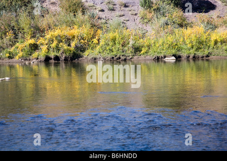Animas River near Aztec in New Mexico, USA Stock Photo - Alamy