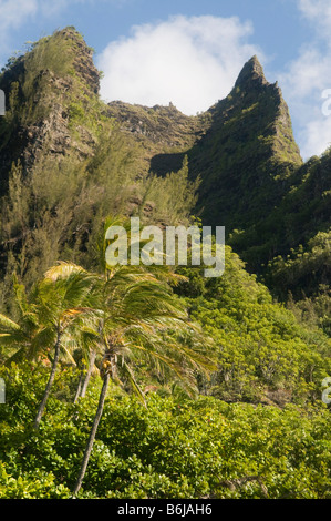 Palm trees and mountains of Na Pali seen from Cannon's Beach on the ...