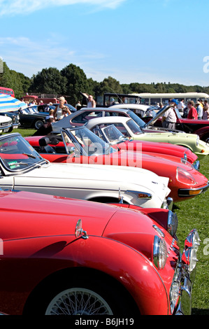 The Classics on the Common car show, organised by Harpenden Village ...