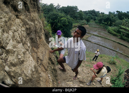 Indonesia, Java, Sangiran, Homo Erectus Site, Paleomagnetic Dating ...