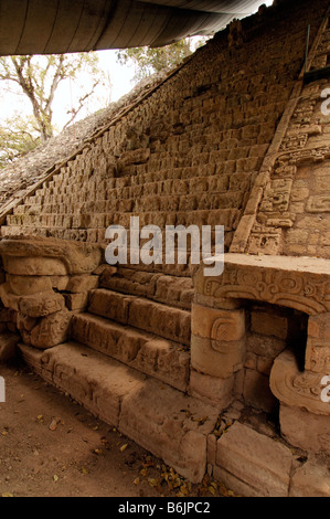 Central America, Honduras, Copan. The impressive Hieroglyphic Stairway ...