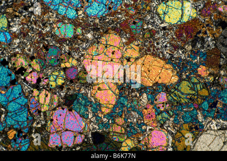 Brightfield photomicrograph using cross polarizers (one of a sequence ...