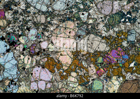 Brightfield photomicrograph (one of a sequence) of Picrite basalt Stock ...
