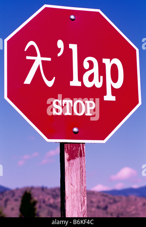 halt text written on red grungy stamp sign Stock Photo - Alamy