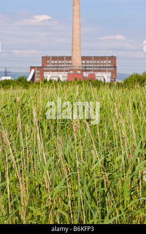 View over reed beds toward power station at Newport Wetlands National ...