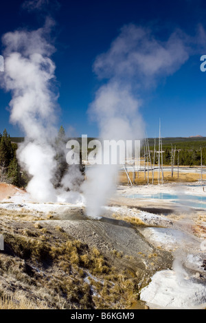 Ledge Geyser at Norris Geyser Basin, Yellowstone National Park, Wyoming ...