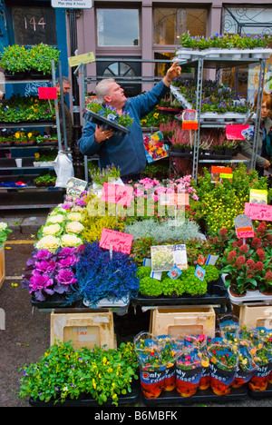 Columbia Road flower market during the Sunday market day in East London ...