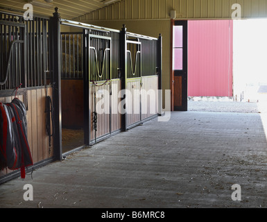 Empty Horse Stalls Stable, USA Stock Photo - Alamy