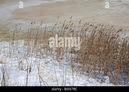 Cold russian snow winter Stock Photo - Alamy
