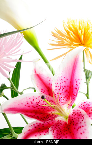 beautiful spring bouquet. Flowers arrangement with red and white colors ...