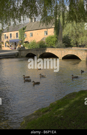 The River Windrush & Mill Bridge flowing through the picturesque ...