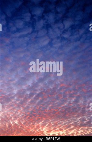 Altocumulus at Sunset Stock Photo - Alamy