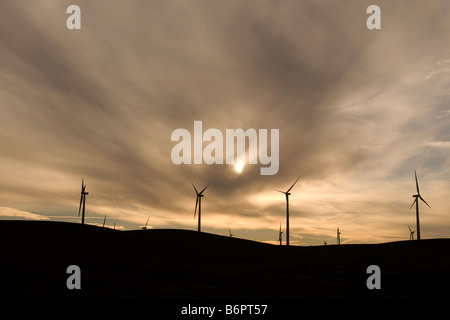 Solano Wind Power Project near Rio Vista California United States Stock ...