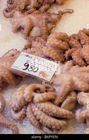 Octopus is on ice in Venice Rialto market. Selective attention Stock ...