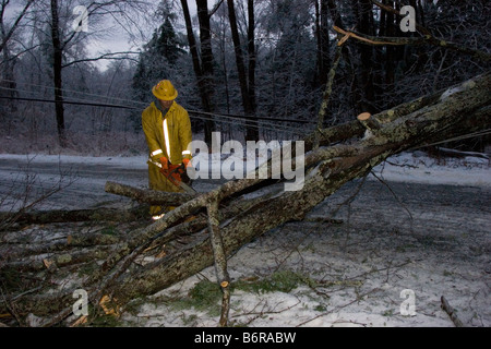 Utility worker cuts through a fallen tree on power line across road ...