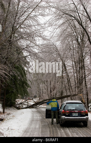 A road blocked by a fallen tree in Fukuoka City, Fukuoka Prefecture ...