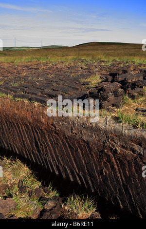 Peat Cutting & Bank, Peat Stacks, Islay, Scotland Stock Photo: 21414203 ...