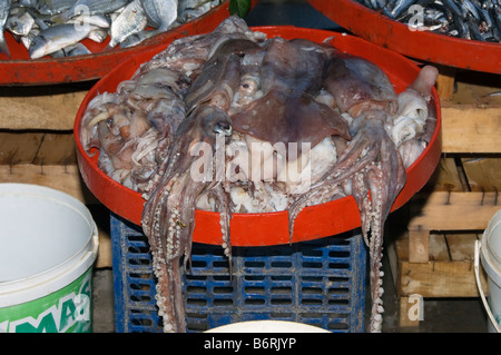 Fish, fish market, Antalya, Turkey Stock Photo - Alamy