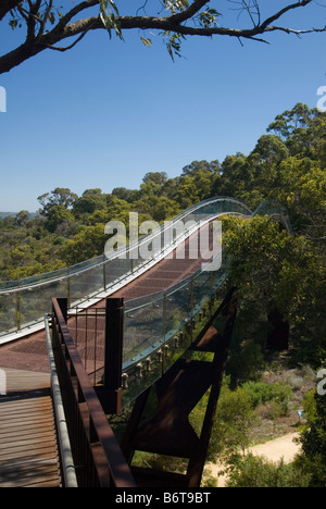 Lotterywest Federation Walkway Arched Bridge in Kings Park, Perth ...