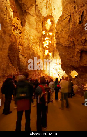 Lucas Cave - Jenolan Caves - Australia Stock Photo - Alamy