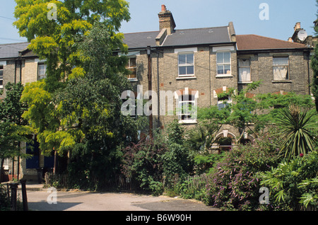 Bonnington Square Garden, Vauxhall, London, UK Stock Photo - Alamy