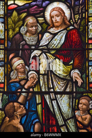 A leopard in Maasai Mara national park Stock Photo - Alamy