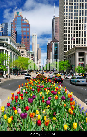 Tulips on North Michigan Avenue, The Magnificent Mile, Chicago ...