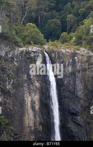 Ellenborough Falls, Elands, New South Wales, Australia Stock Photo - Alamy