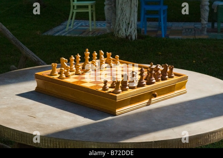 Miami South Beach , Delano Hotel , hand made large chess set in garden ...