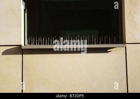 Bird control spikes, anti-roosting spikes, pigeon spikes or roost ...