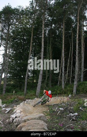 A mountain biker riding along a trail in Cardinham Woods Bodmin ...