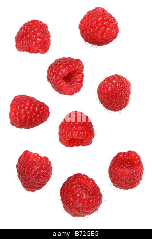 Fresh red raspberries isolated on white Stock Photo - Alamy