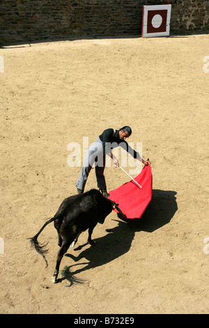 Jose Luis, a matador or torero practicing bullfighting skills with a ...