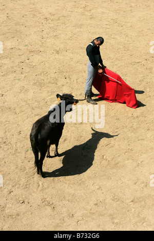 Jose Luis, a matador or torero practicing bullfighting skills with a ...