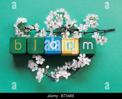 Bloom in block letters Stock Photo - Alamy