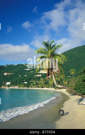 Palm tree on beach, Cane Garden Bay, Tortola, The British Virgin ...