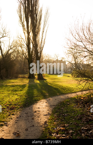Autumn Trees Wandsworth Common London UK Europe Stock Photo - Alamy