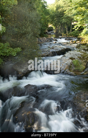 River Erme, Ivybridge, Devon Stock Photo - Alamy