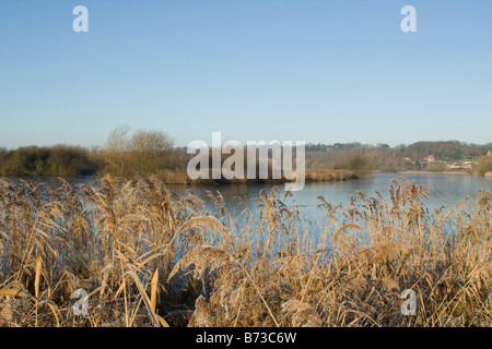Lake at westbere Stock Photo - Alamy