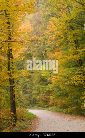 Green Mountain National Forest, Vermont - 1966 Stock Photo - Alamy