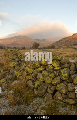 View towards Ulpha Fell in the Duddon Valley The Lake District National ...
