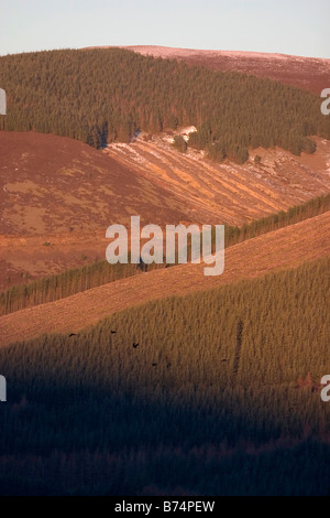 Sunset colours in the Tweed Valley, Borders, Scotland Stock Photo - Alamy