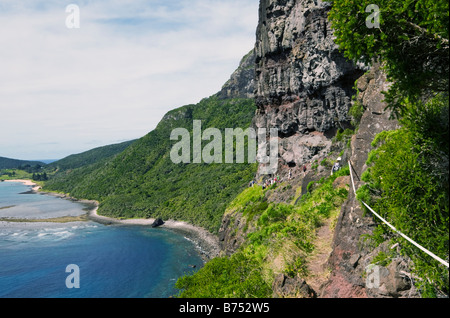 Climbing Mount Gower Lord Howe Island NSW Australia Stock Photo - Alamy