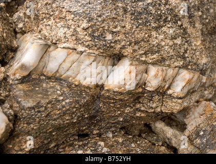 Quartz vein in granite rock - California USA Stock Photo - Alamy
