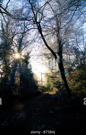 Colley Hill Reigate Memorial in Memory of George Simpson Captain 5th ...