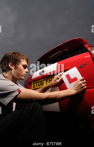 learner driver putting L plates on a ford fiesta ST Stock Photo - Alamy
