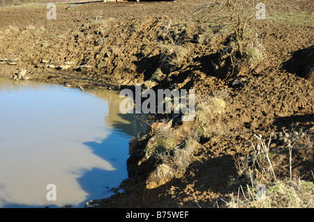 Erosion caused by farm animals Stock Photo - Alamy