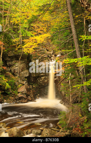 Cascade Brook in Lincoln, New Hampshire on a spring day. This brook is ...