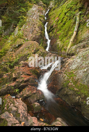 Chequamegon National Forest Wisconsin USA shown on a road map or ...